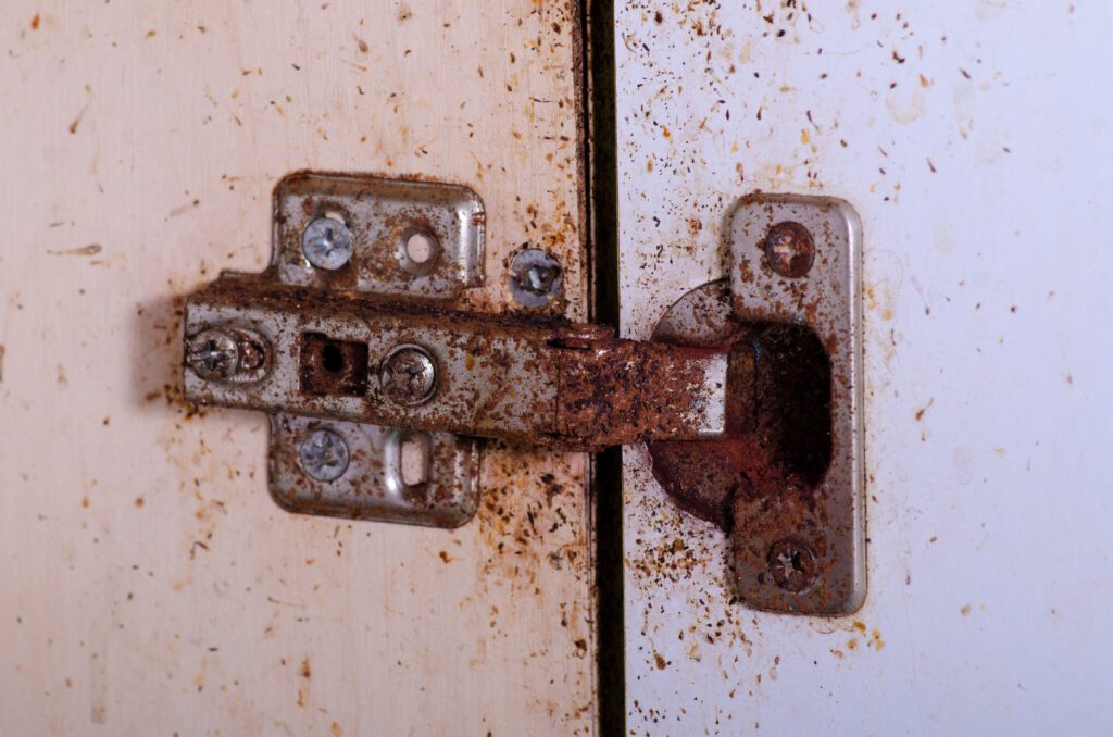 Cockroach Pest Control in Kensington, MD - My Pest Pros
